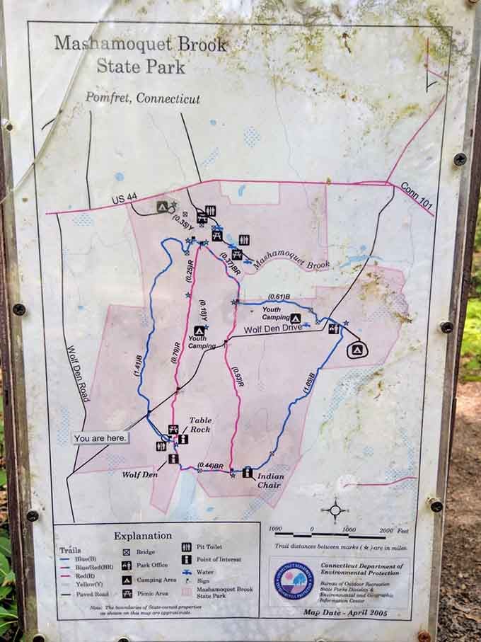 This map shows you exactly where to wander, though getting slightly lost is half the fun.