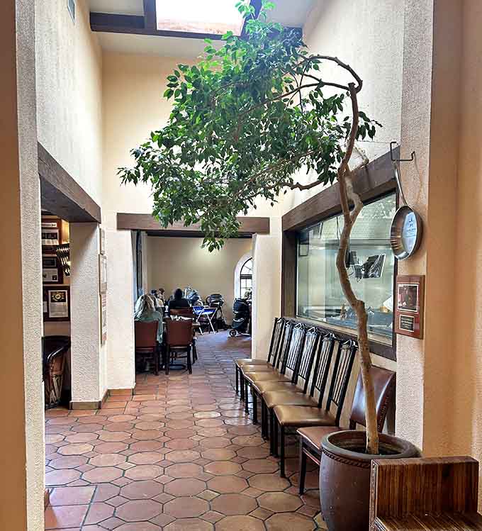 An indoor tree growing right through the floor proves this place has deep roots in more ways than one.