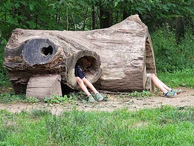 A hollowed log that doubles as the world's most photogenic hiding spot for adventurous kids.