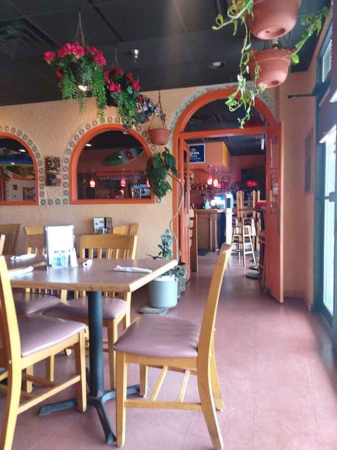 Hanging plants and arched doorways add authentic charm, proving that ambiance matters almost as much as enchiladas.
