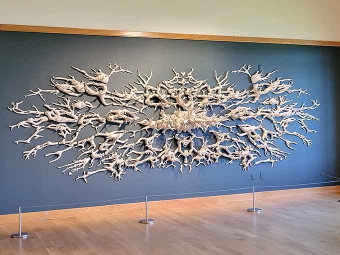 Bleached coral branches spread across the wall like nature's own sculpture, beautiful and slightly haunting.