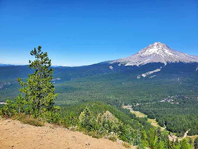 Mt. Hood watches over everything like a patient grandparent, snow-capped and completely unimpressed by our shenanigans.