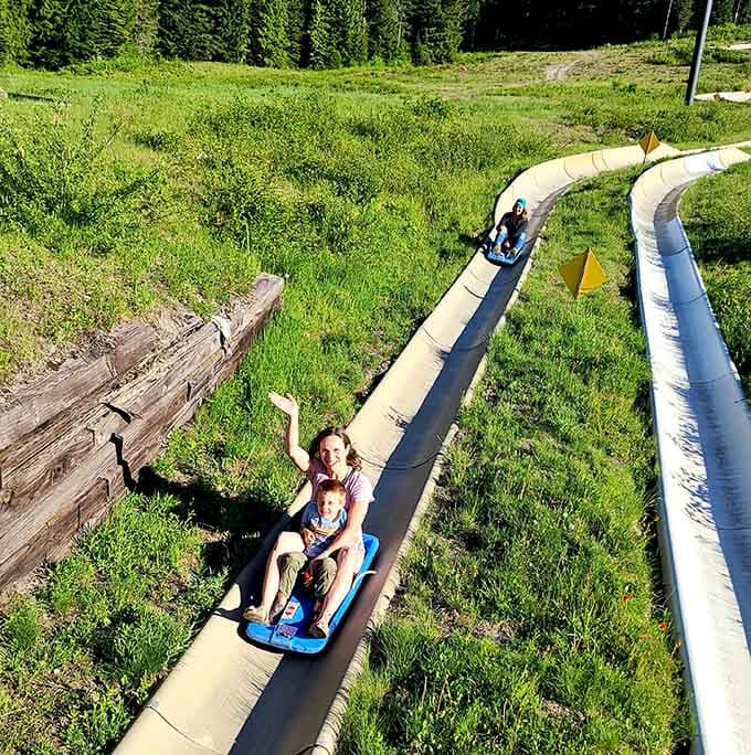 The alpine slide offers downhill thrills without the ski lift ticket, perfect for summer adventures and competitive family bragging rights.