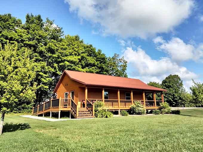 Pictured Rocks Cabins offer cozy accommodations surrounded by nature, where your neighbors are mostly trees and deer.