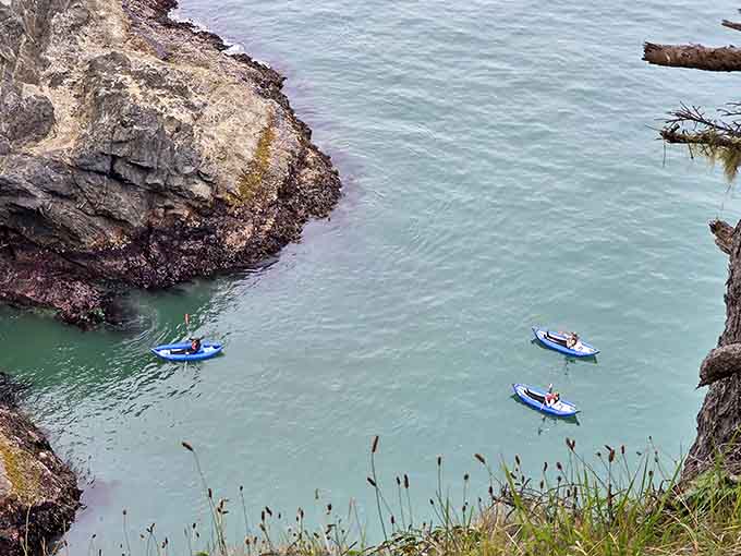 Kayakers explore the protected coves below, living their best Pacific Northwest adventure life down there.