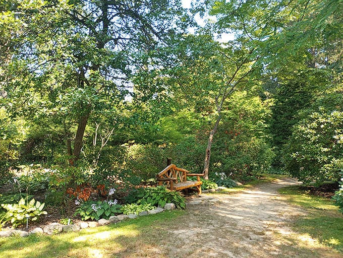 A peaceful bench waits under the shade, inviting you to sit and pretend you're in a novel.