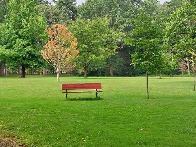Simple park benches positioned perfectly for contemplating life's mysteries or just watching clouds drift by without purpose.