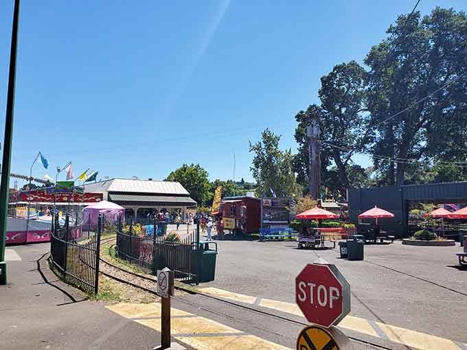A sunny day at the midway, where the smell of popcorn mingles with laughter and everything feels right.