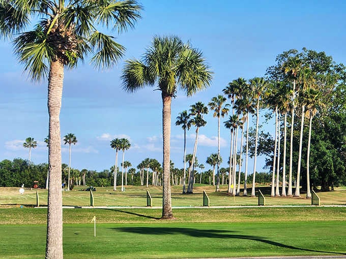 The golf course stretches beneath towering palms, offering a slice of paradise for duffers and pros alike.