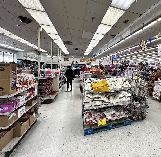 Shopping carts full of possibilities, because leaving with just one item would be missing the whole point.