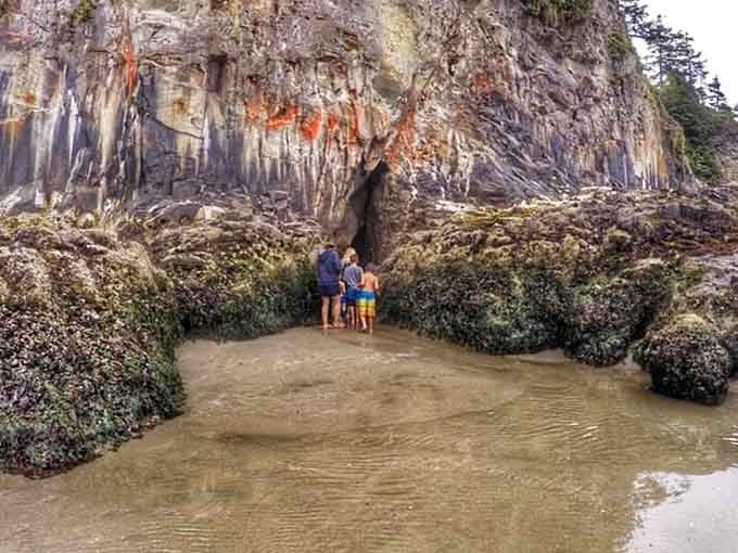 Sea caves frame the Pacific like nature's own picture windows, proving the coast has serious design skills.