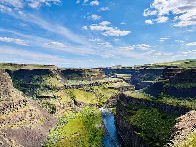 Spring brings lush greenery to the canyon, transforming the landscape into an unexpected oasis of color.