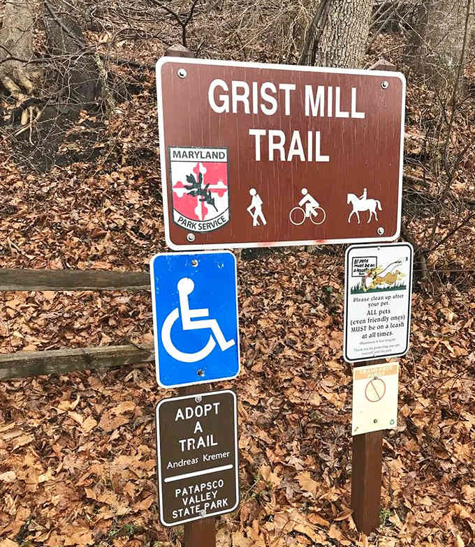 Trail markers guide you through the wilderness like helpful friends who actually know where they're going.