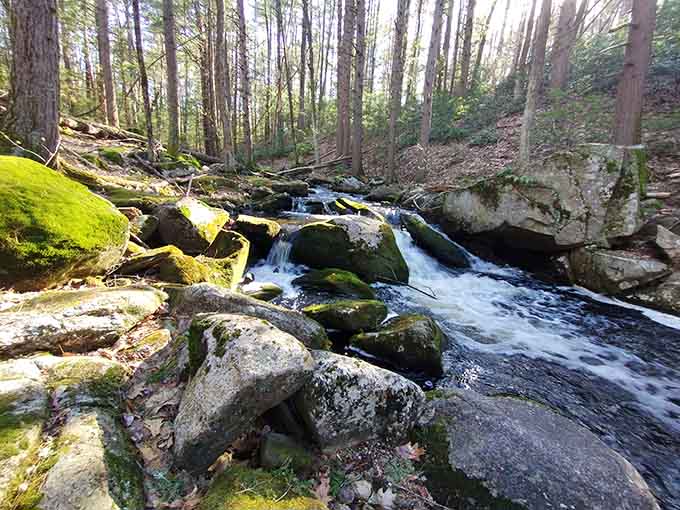 Moss-covered rocks and cascading water create nature's own meditation soundtrack, batteries not required for this experience.