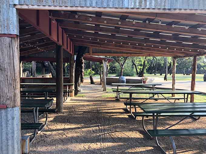 Outdoor seating under ancient mesquite trees where sunset dinners become the stuff of family legend and Instagram glory.