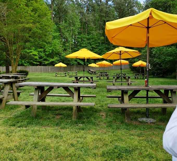 Sunny yellow umbrellas shade picnic tables outside, perfect for enjoying your feast in the fresh Virginia air.