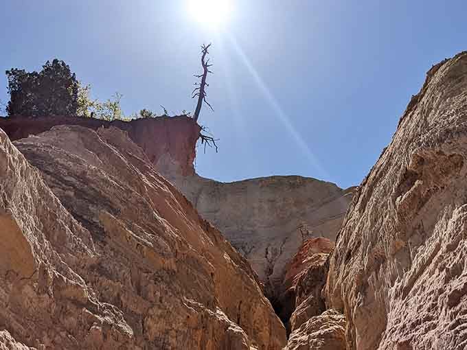 On a clear day, the blue sky against those rust-colored walls creates a color contrast that's simply breathtaking.