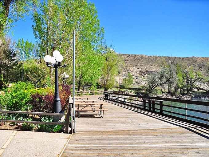 Nature & Wildlife Discovery Center proves environmental education shouldn't cost you an arm and a leg.