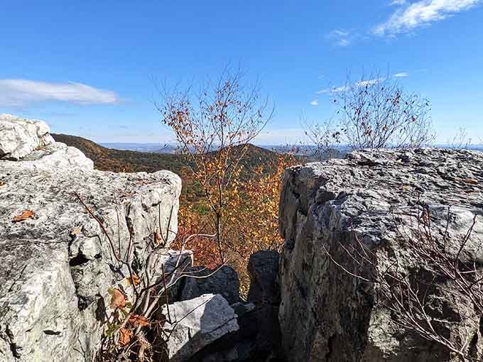 Autumn's paintbrush went wild across these mountains, creating a masterpiece that changes daily throughout the season.