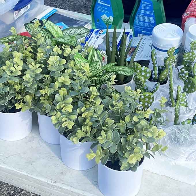 Artificial plants that look surprisingly real, perfect for people who love greenery but possess the gardening skills of a rock.