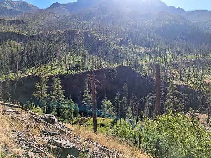 Steep canyon walls create natural privacy screens, making this remote paradise feel like your own secret mountain hideaway.