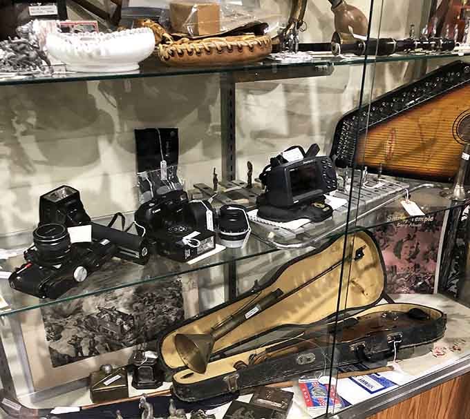 Vintage cameras that captured weddings, vacations, and awkward school photos now wait patiently for their next photographic adventure.