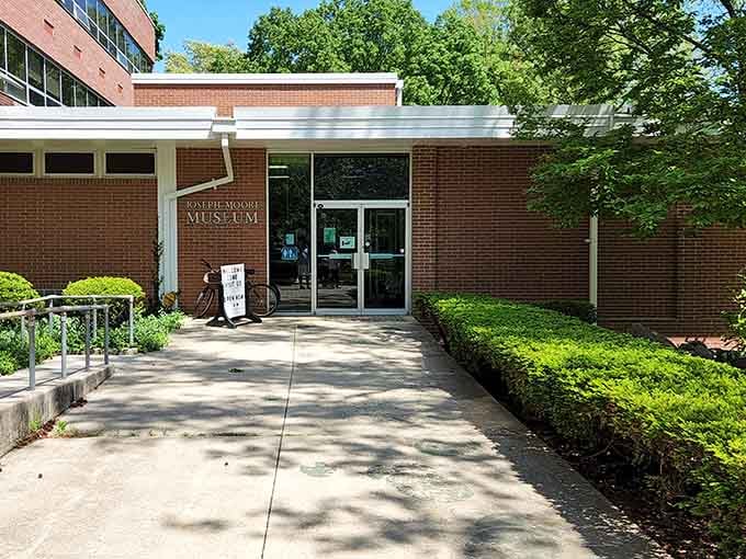 Joseph Moore Museum at Earlham College brings natural history and cultural exhibits to Richmond, education without the student loan debt.