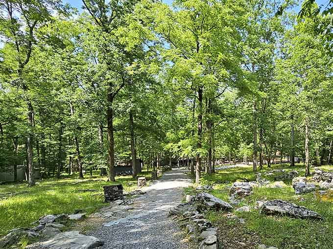 Sunlight filters through towering trees, creating the kind of peaceful setting that makes you forget the outside world exists.