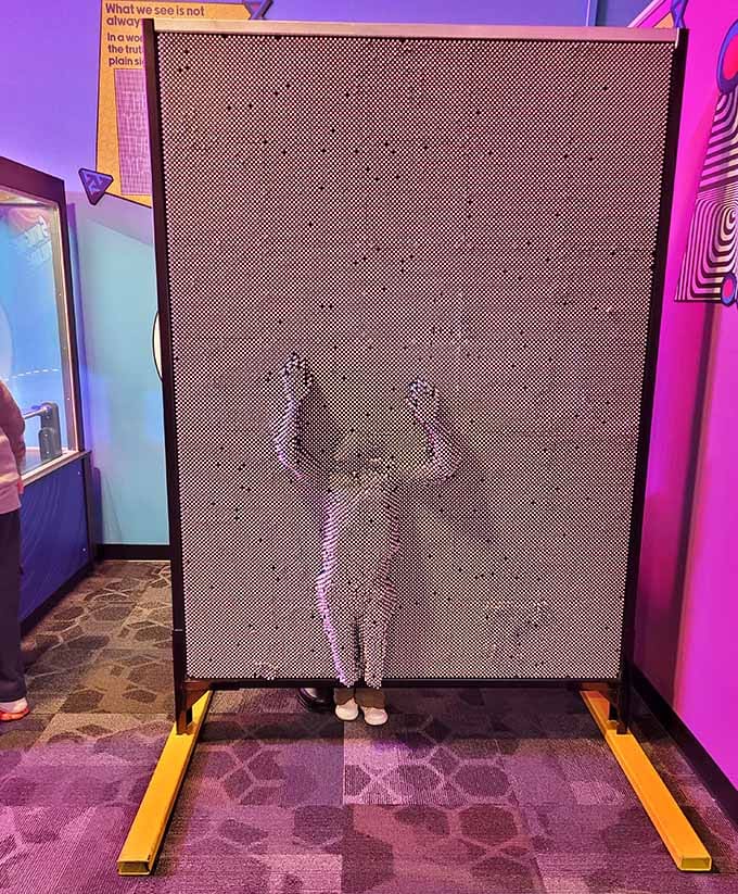 Push into those pins and leave your mark, literally becoming art that'll disappear when you step away.