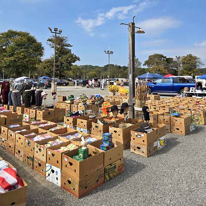 Boxes upon boxes of possibilities await exploration, each one a potential jackpot for the patient treasure hunter.