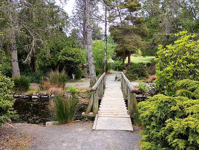 A wooden footbridge crosses over to another garden area, because one spectacular view apparently wasn't enough.