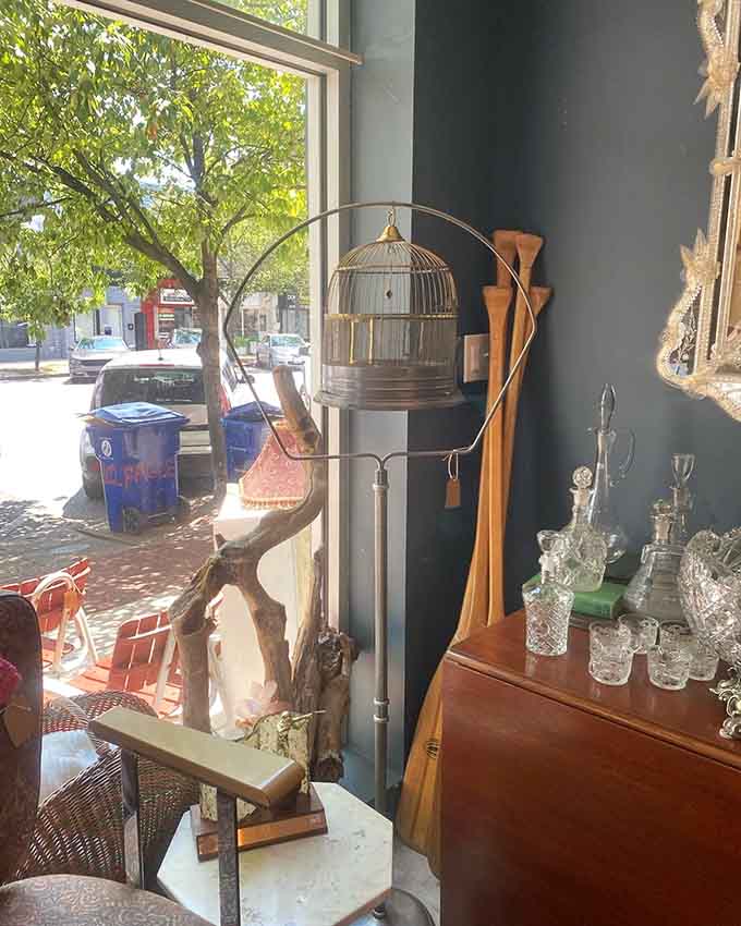 A vintage birdcage lamp that's equal parts functional lighting and conversation starter for your next dinner party gathering.