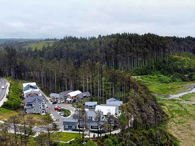 From above, Seabrook looks like someone carefully arranged a coastal village among the towering Pacific Northwest forests.