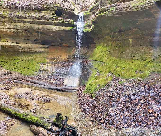 Silver Cascade Falls might be small, but it's proof that good things come in perfectly-formed natural packages.