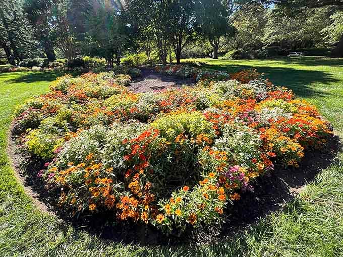 A flower bed bursting with orange, white, and purple blooms in patterns that seem almost too perfect to be natural.