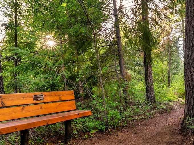 The Metolius Preserve: nature's own masterclass in why some places should just be left beautifully alone.