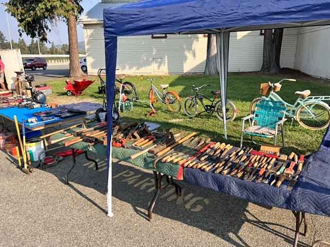 Tools laid out like surgical instruments, each one promising to fix that project you've been avoiding.