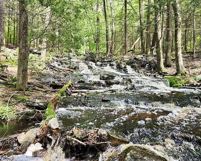 Spring runoff transforms Spirit Falls into a rushing torrent that commands respect and inspires serious awe.