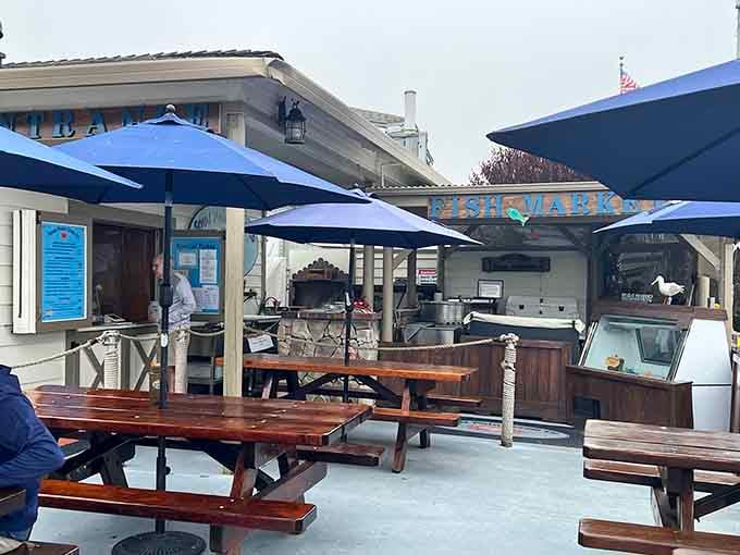 Wooden picnic benches overlooking the marina provide seating with a view that costs absolutely nothing extra.