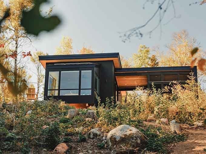 The cabin's modern exterior nestled among birch and pine looks like it grew there naturally, just with better architecture.