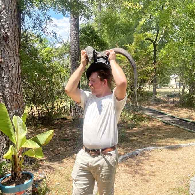 Holding an exotic lizard transforms you from casual visitor into someone with an incredible story to tell.