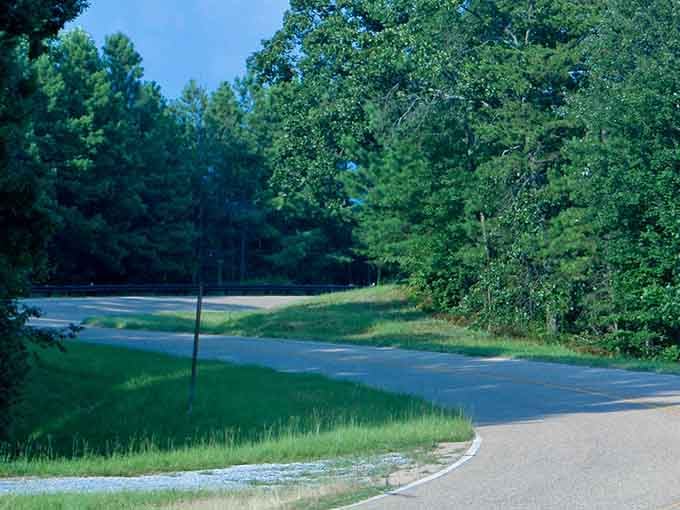 Trees flanking the road create natural guardrails of green, making you feel protected rather than confined on this journey.