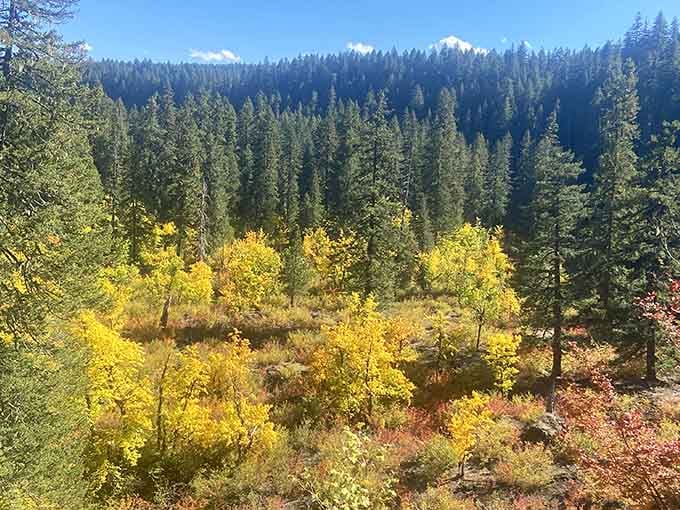 Fall colors paint the landscape in gold and crimson, proving Oregon knows how to put on a show.