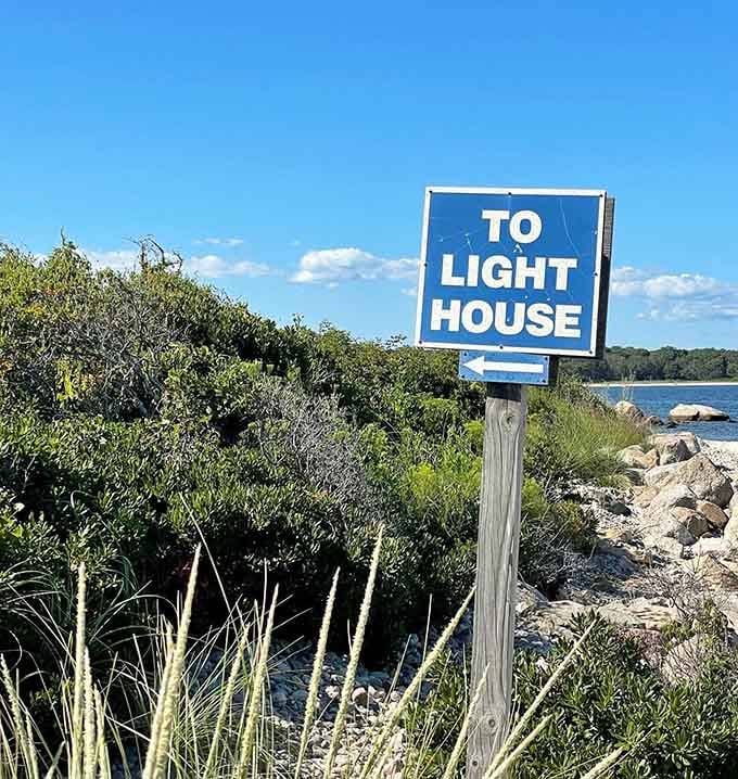 Even the signage here keeps things refreshingly straightforward, no corporate branding committee involved whatsoever.