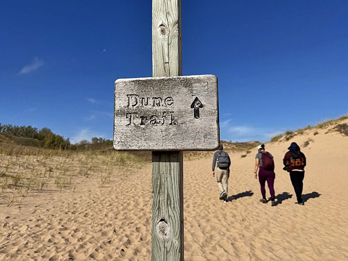 The trail sign points the way to glory, or at least to some seriously impressive quad development.