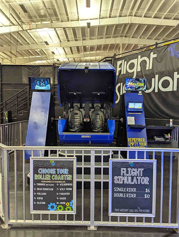 The flight simulator promises roller coaster thrills without the sunburn, nausea, or three-hour wait in oppressive heat.