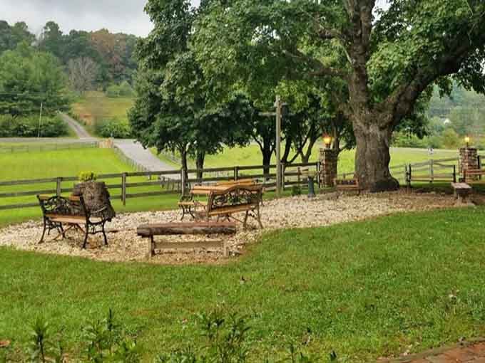 The outdoor seating area under massive trees offers a peaceful spot to contemplate your food coma.
