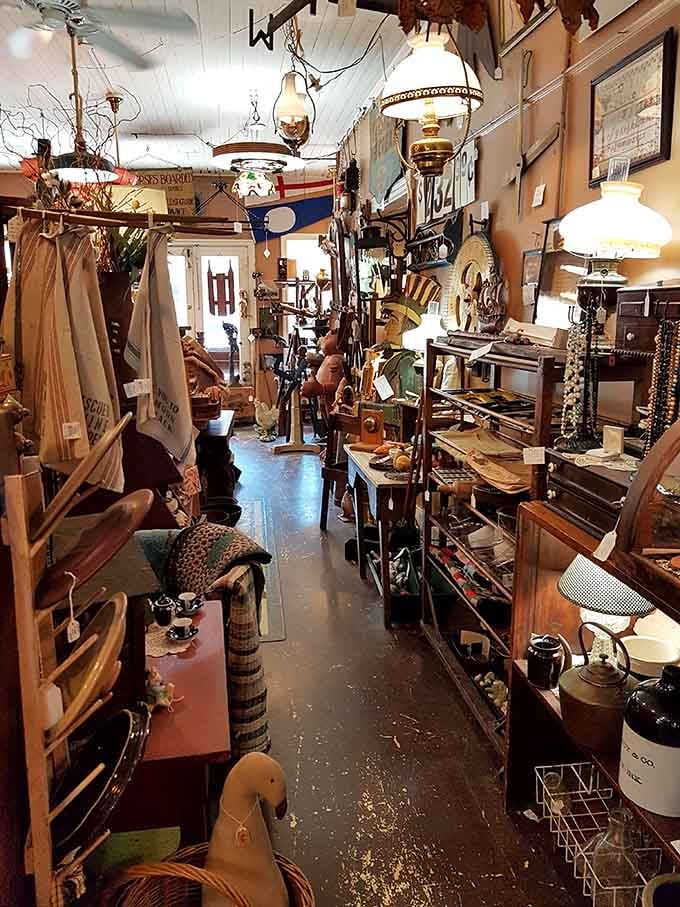 Narrow aisles packed with treasures, where every turn reveals something you didn't know you needed.