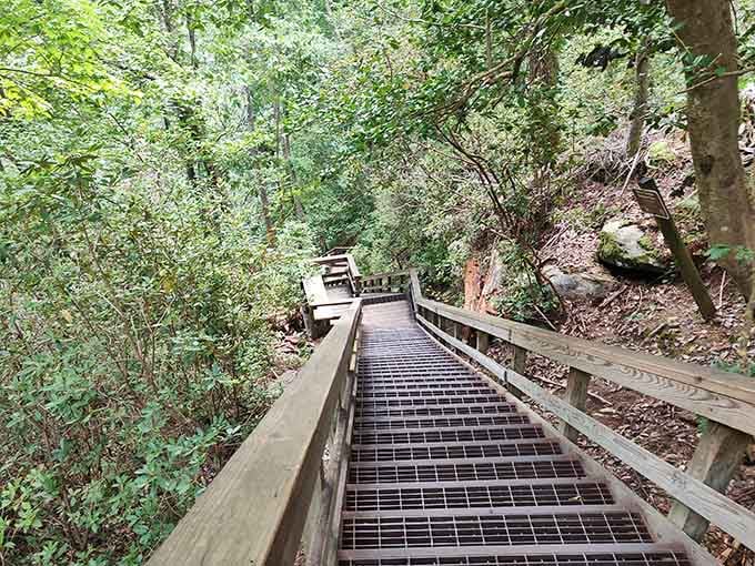 These sturdy stairs wind through the woods, proving that accessibility and natural beauty can absolutely coexist in harmony.