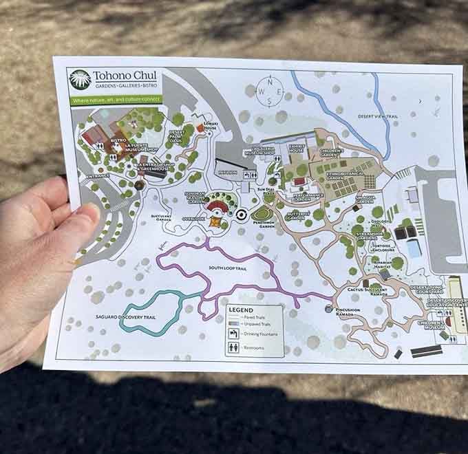 Trail maps guide explorers through themed gardens, ensuring no hidden corner of this 49-acre wonderland goes undiscovered.